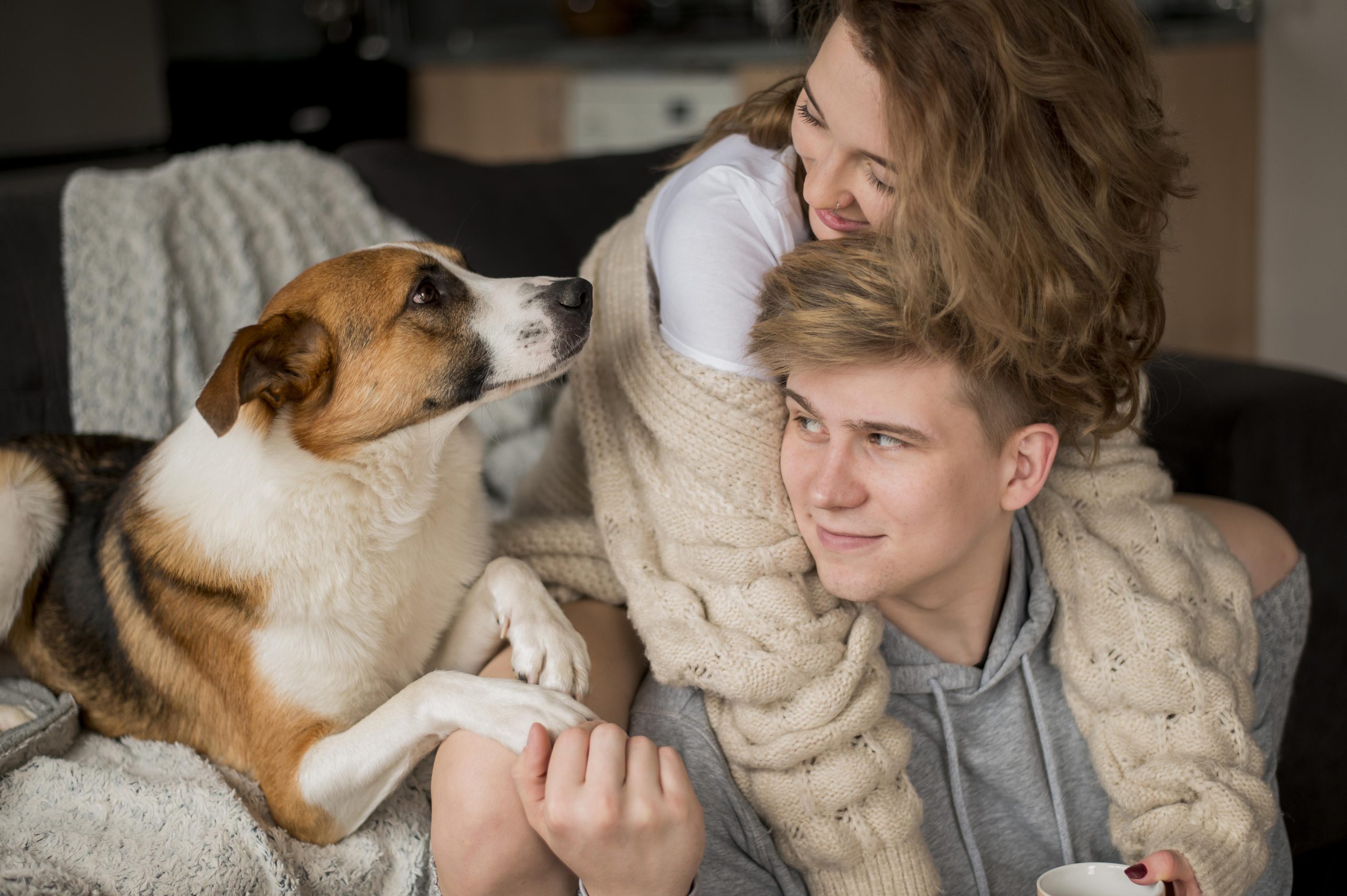 Exploring Emotional Attachment Between Pets and Humans